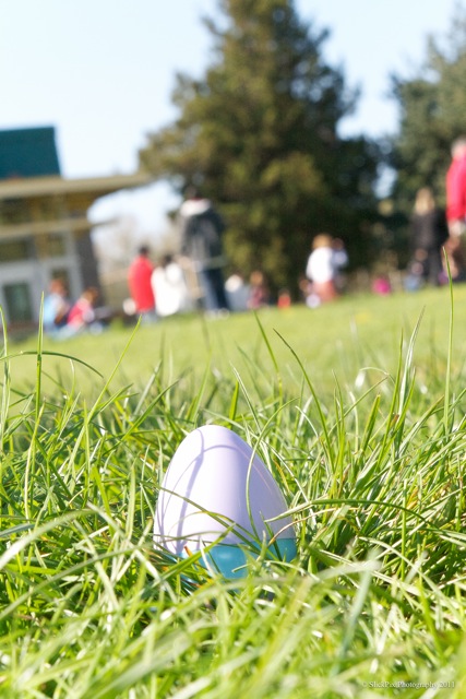 SLIDESHOW: Delridge Community Center sees Egg Hunters galore for annual ...